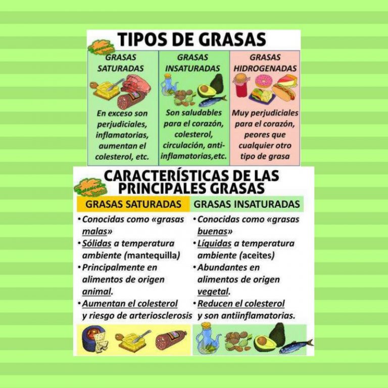 Grasas Saturadas e Insaturadas ⇒ 【La Guía Definitiva】