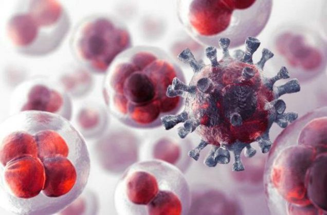 Monocitos Altos en Sangre ⇒ 【↓Síntomas y Tratamiento↓】