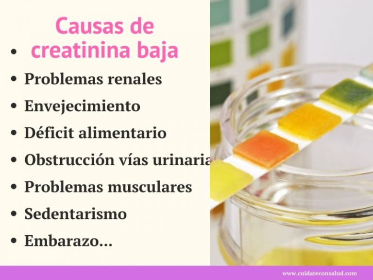 Causas de Creatinina Baja en Orina 【¿Qué Significa】