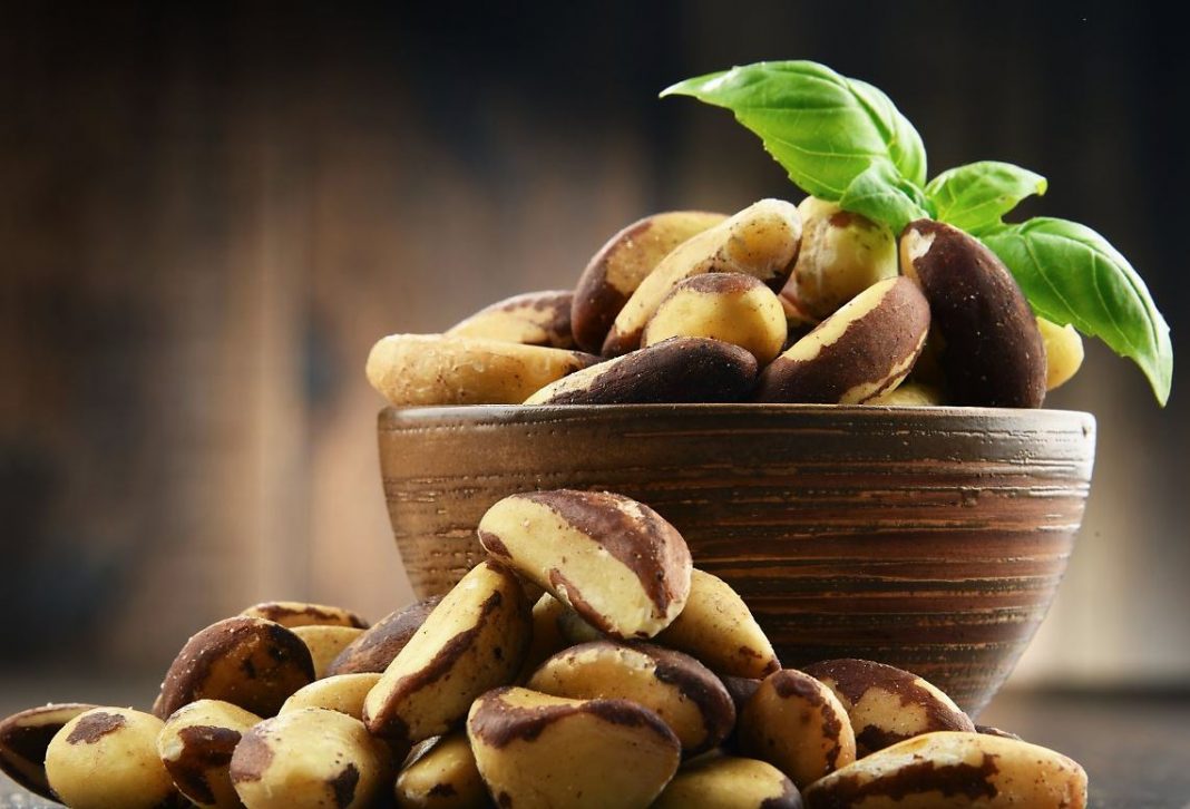 Nuez de Brasil 【Increíbles Beneficios y Propiedades】