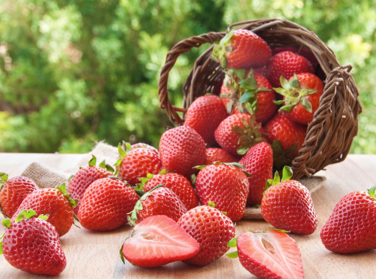 10 Beneficios de las Fresas para la Salud ⇒ 【¡Guía!】