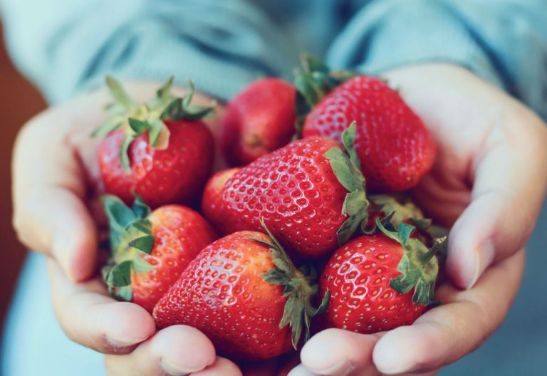 10 Beneficios de las Fresas para la Salud ⇒ 【¡Guía!】