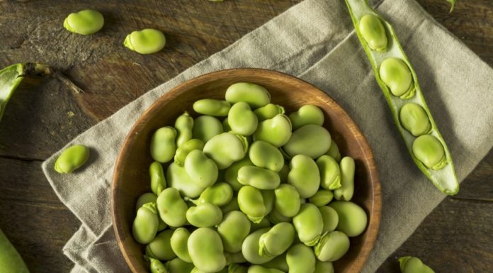 Alimentación Archives | Blog de Salud y Bienestar | Cuídate con Salud