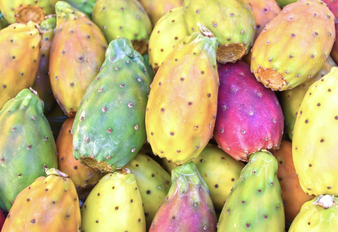 ⊛ 【 10 】 Propiedades del Higo Chumbo para la Salud ️